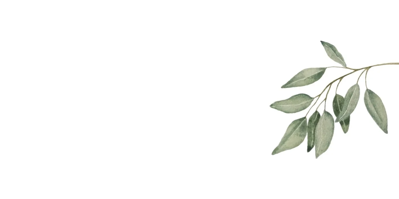 About — Pamela Cook