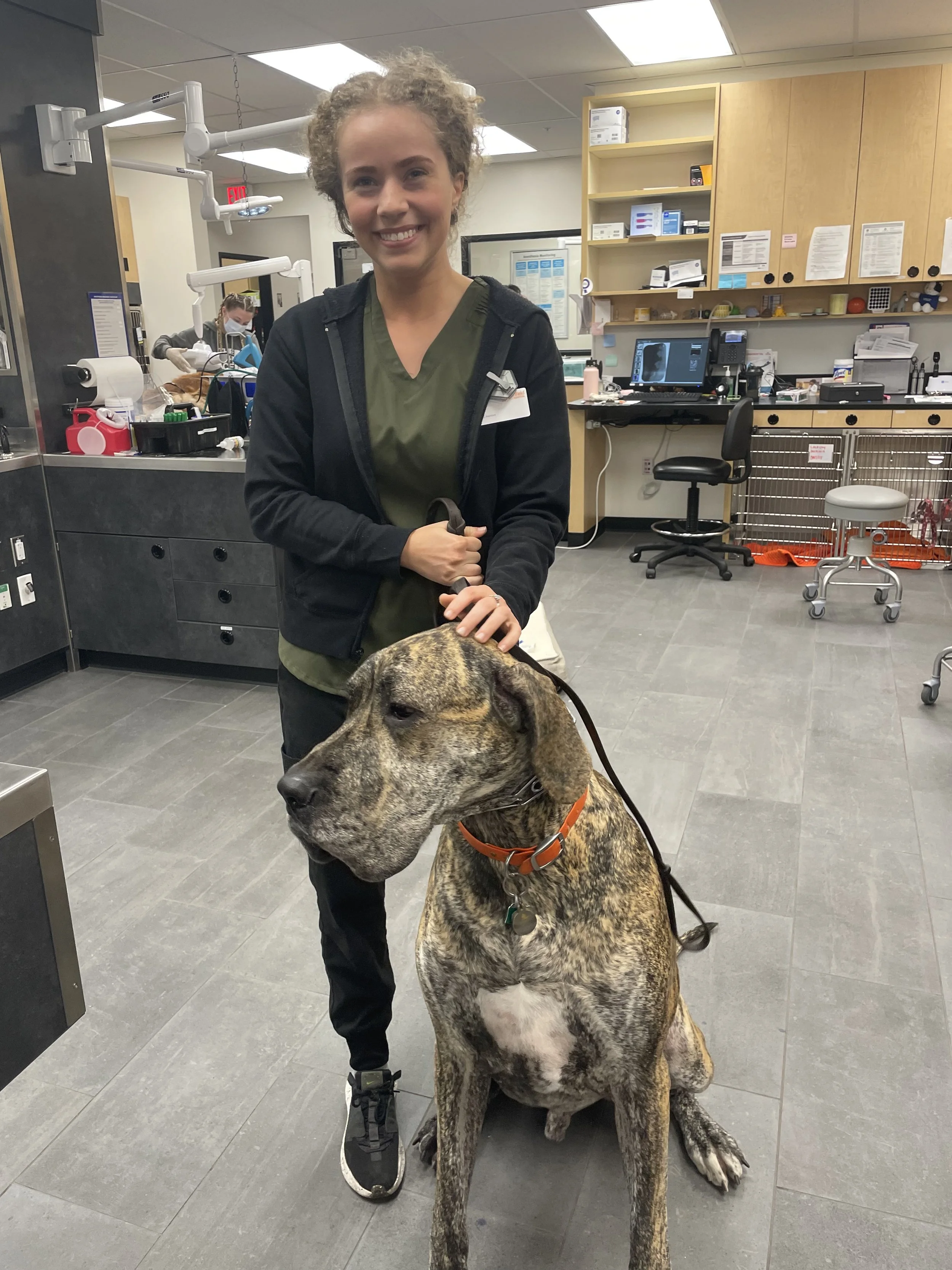 Meet the Team — Paw 2 Paw LLC.
