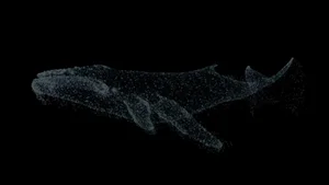 Whale Tank — The Innovation Network
