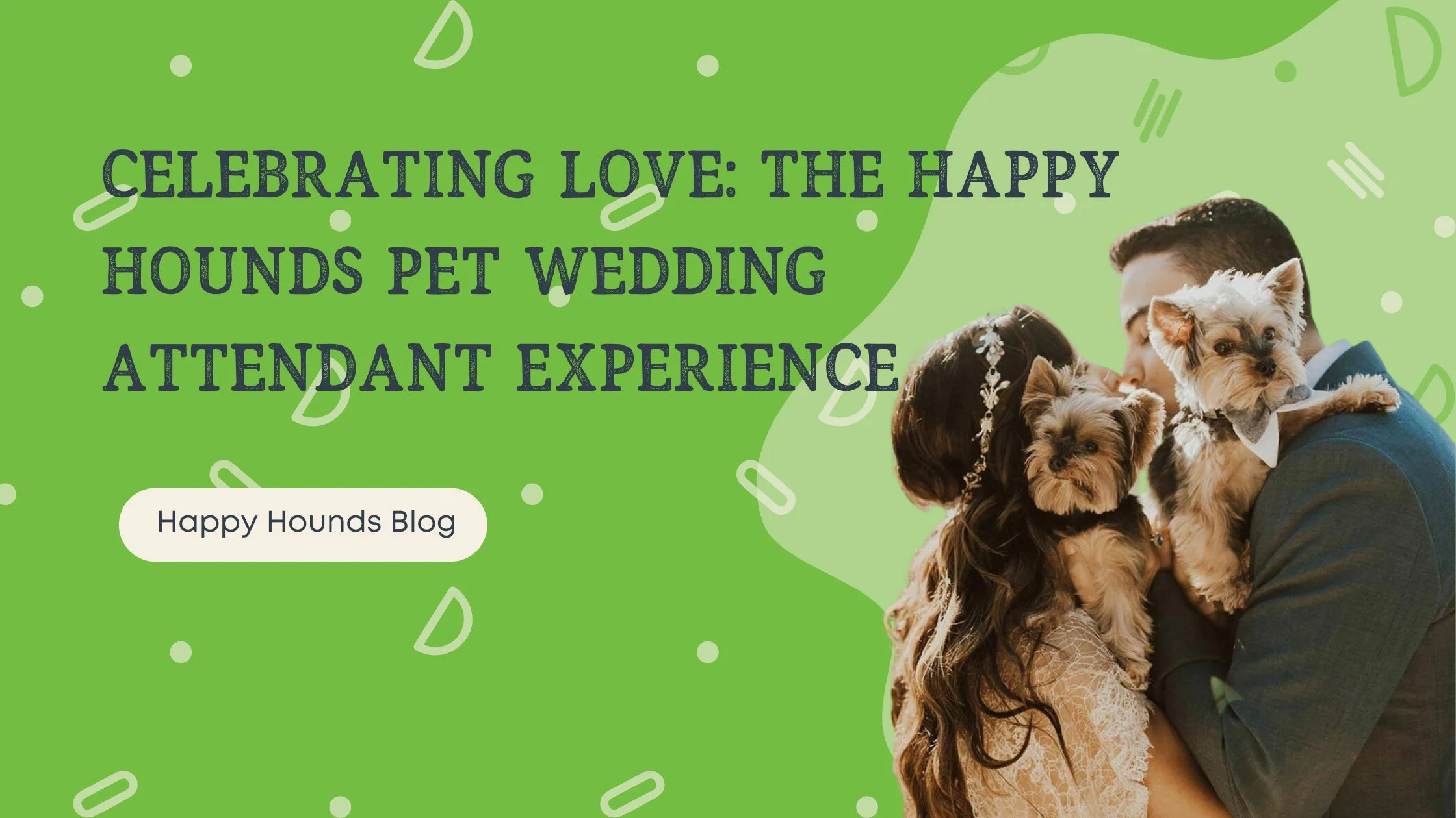 Celebrating Love: The Happy Hounds Pet Wedding Attendant Experience ...