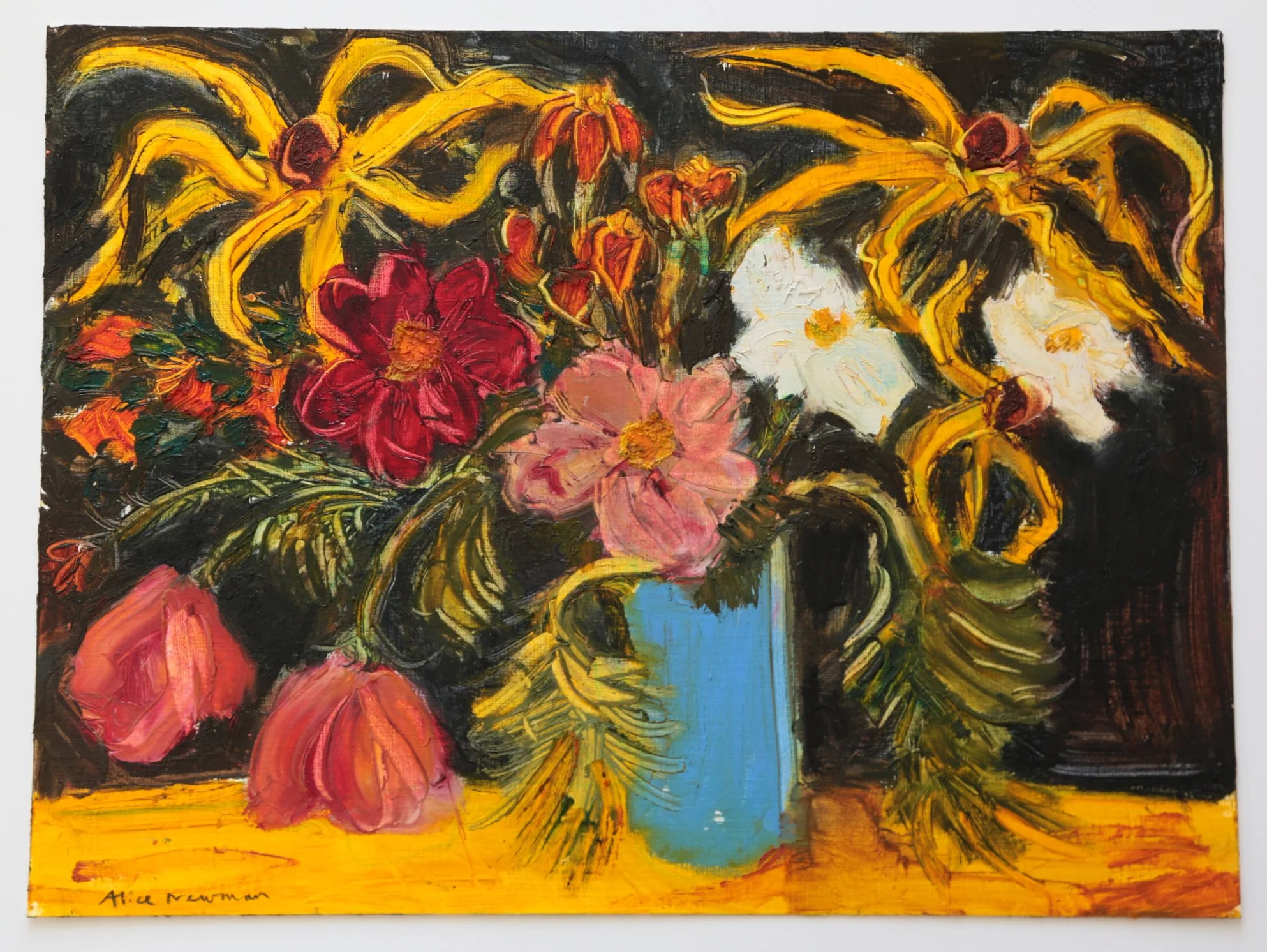 Shop — Alice Newman