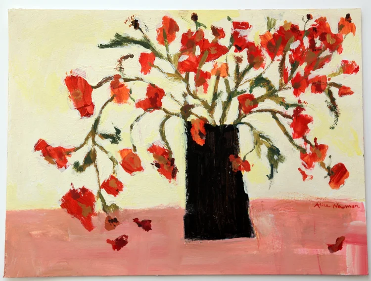 Shop — Alice Newman