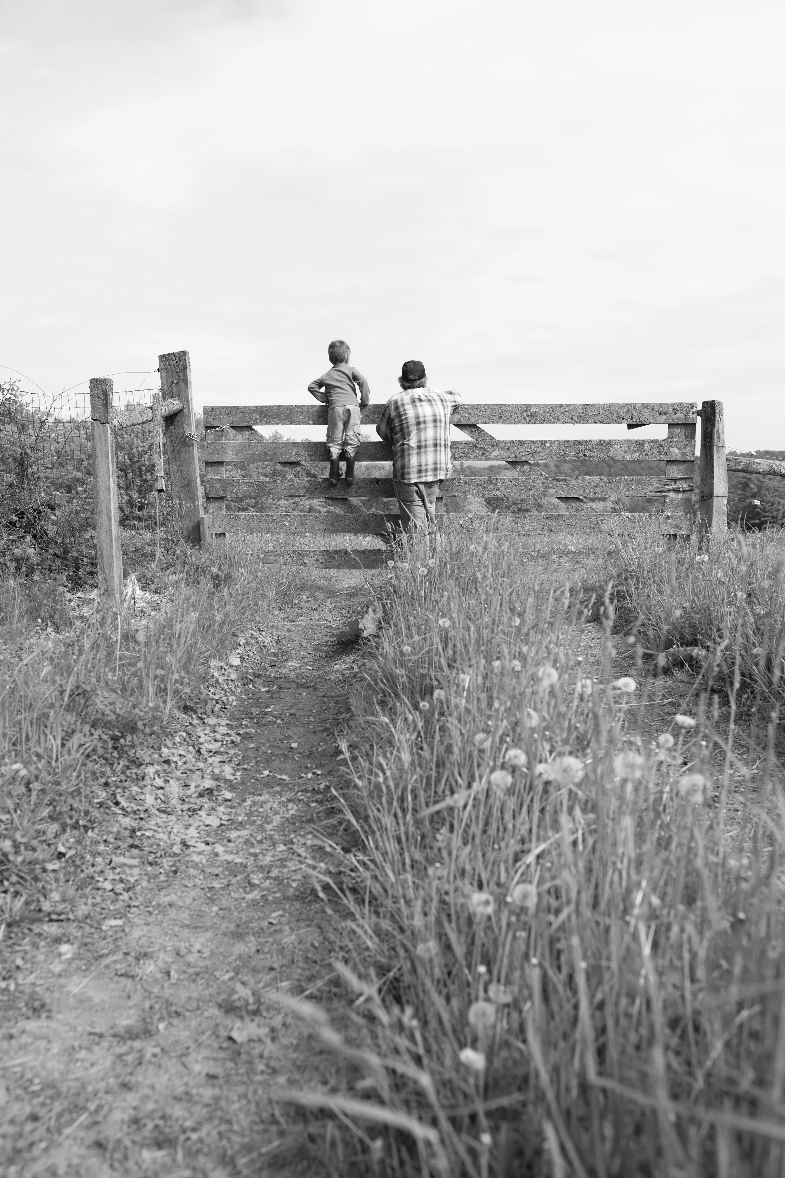 Deanna Meadow Photography at the Fitch Family Farm