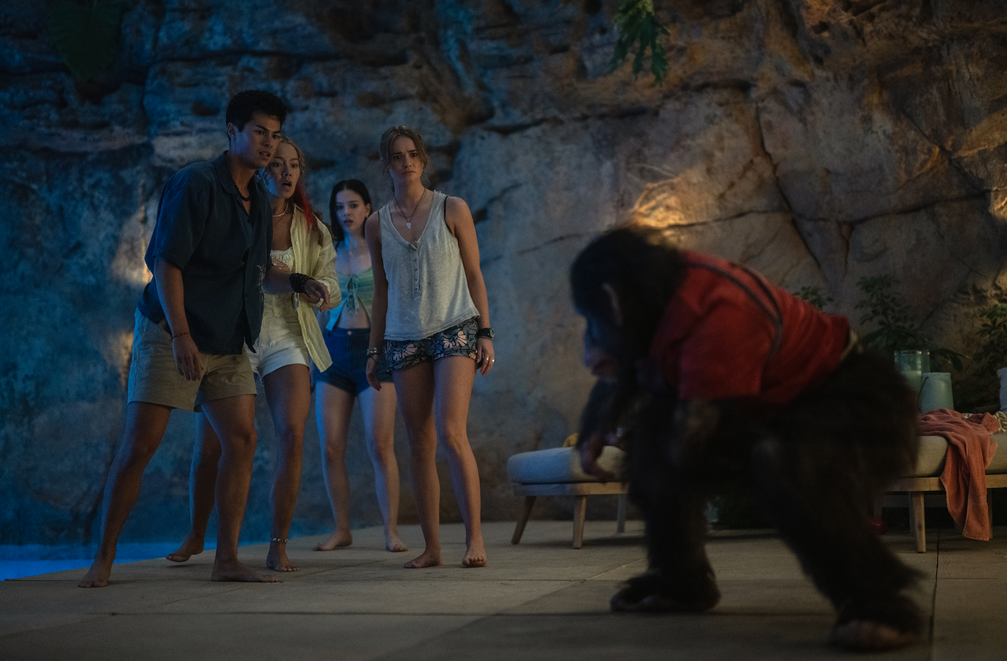 ‘Primate’ Movie Review: Chimp Slasher Movie, Good — Guy At The Movies
