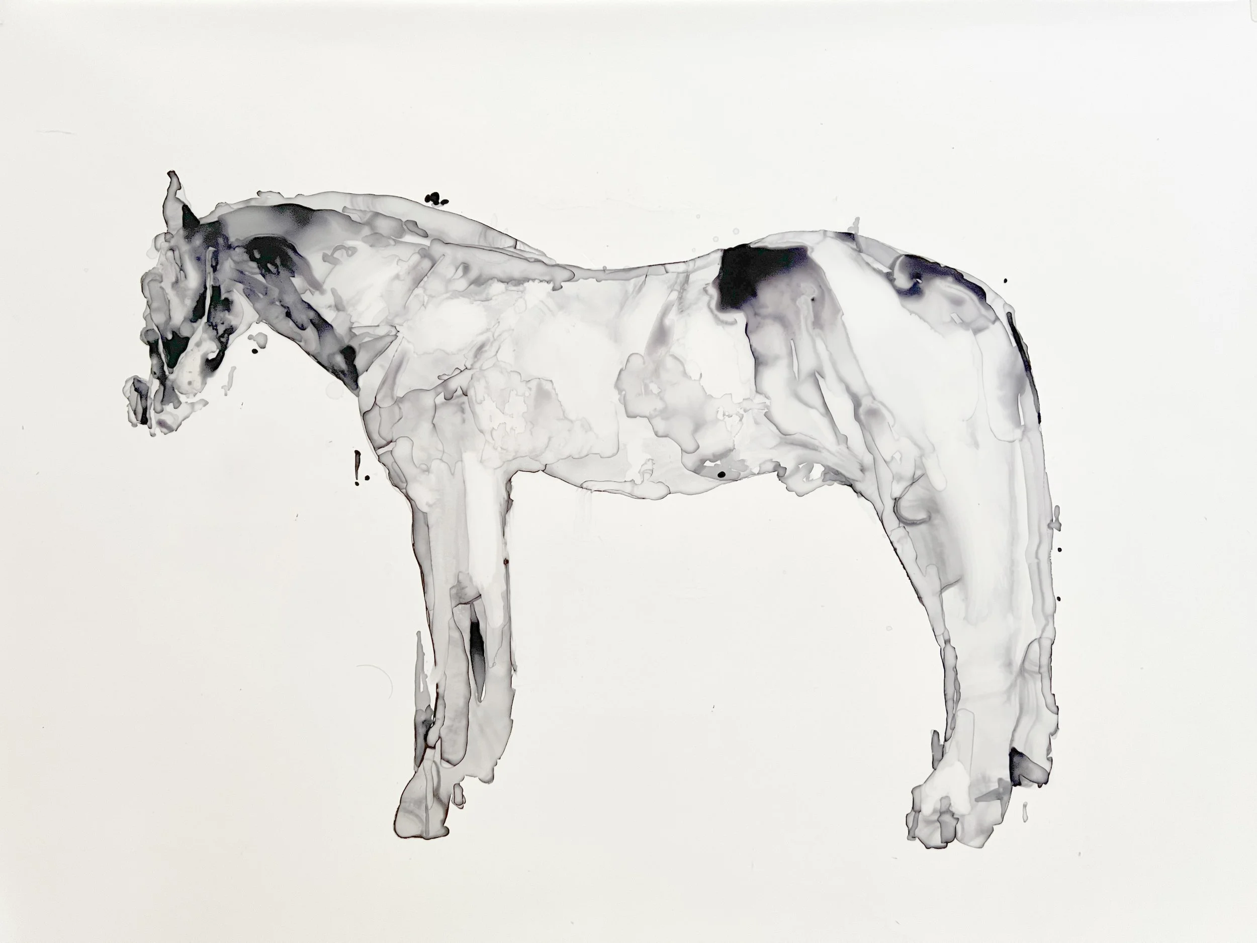 Liquid Drawings — Alex Kanevsky