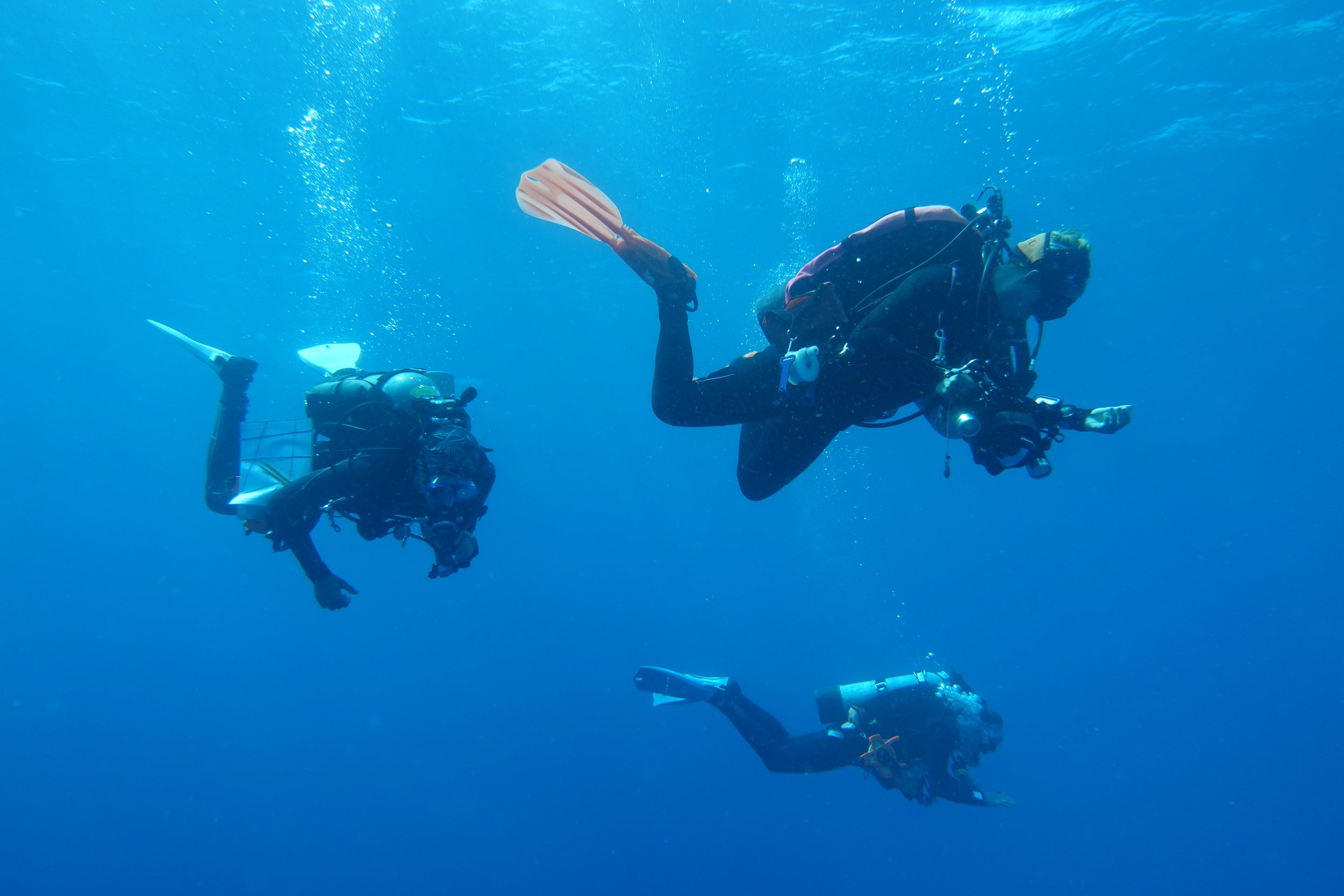 THE TEAM — USVI TCRMP