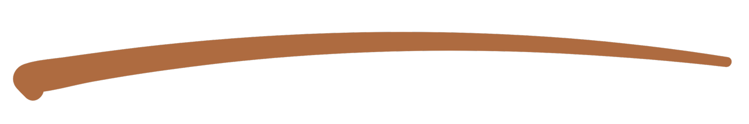 About — Pioneer Development Company