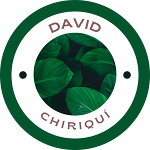 Municipio de David — Munis.pa