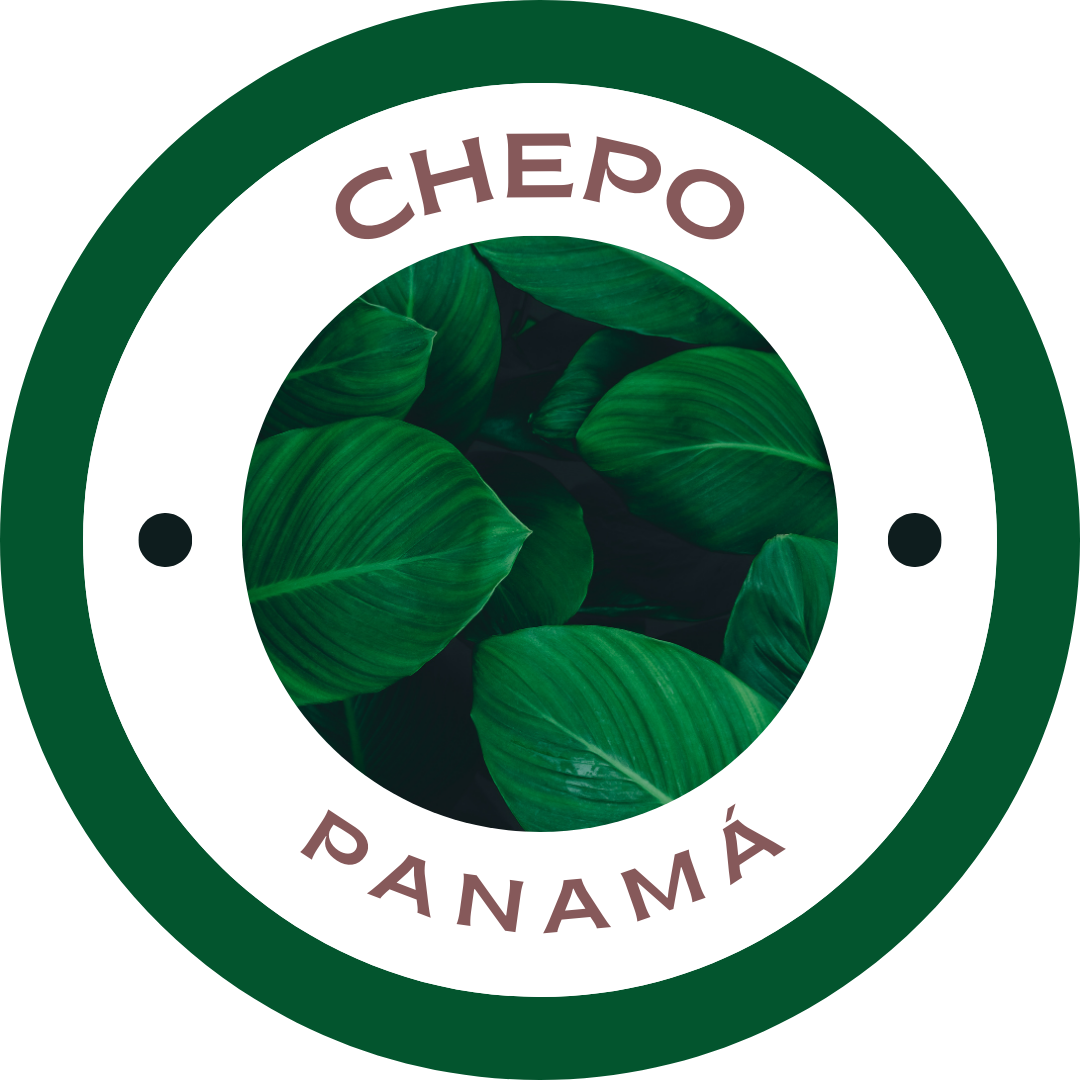 Municipio de Chepo — Munis.pa
