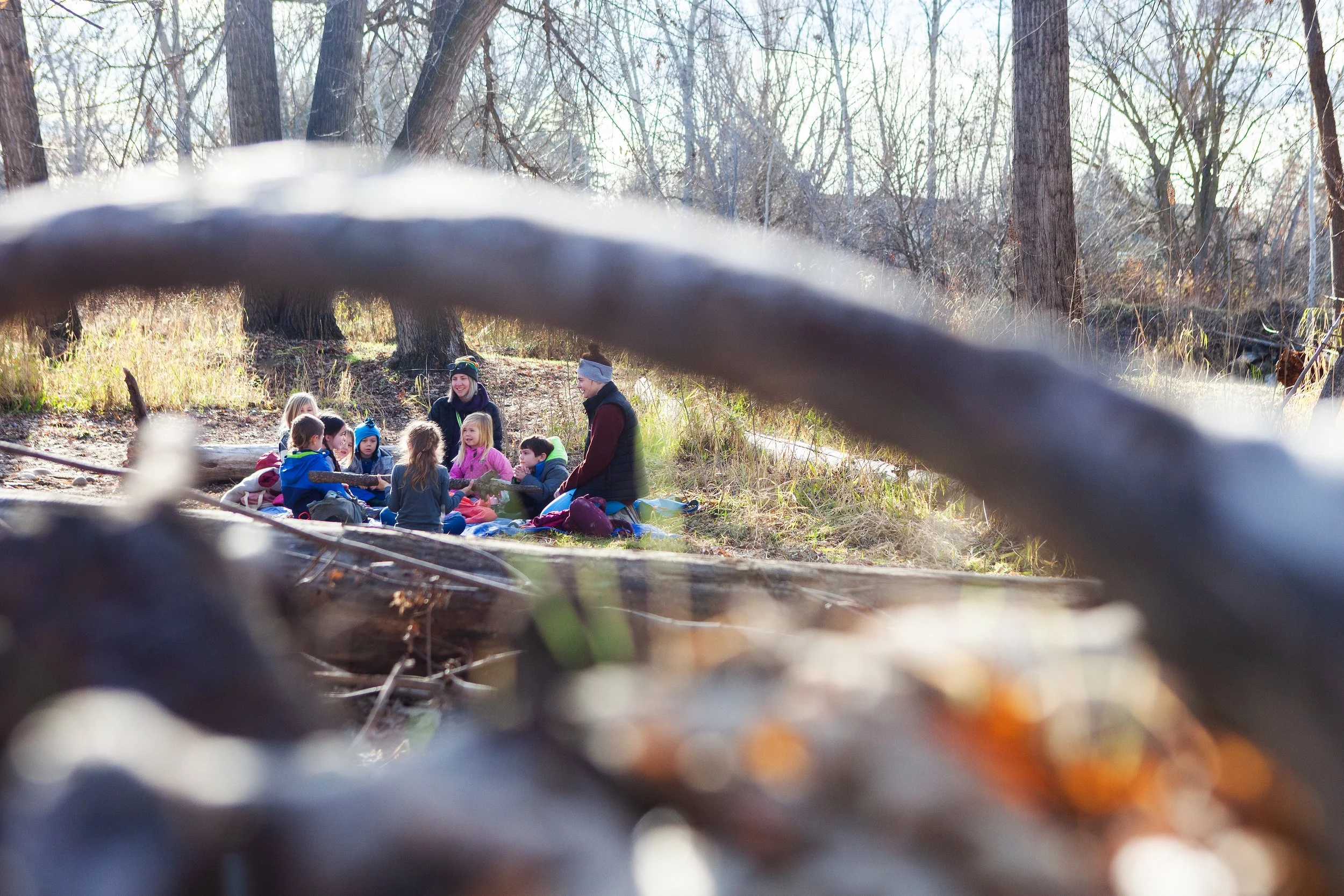 Harnessing the Power of Nature to Benefit Social-Emotional Learning ...