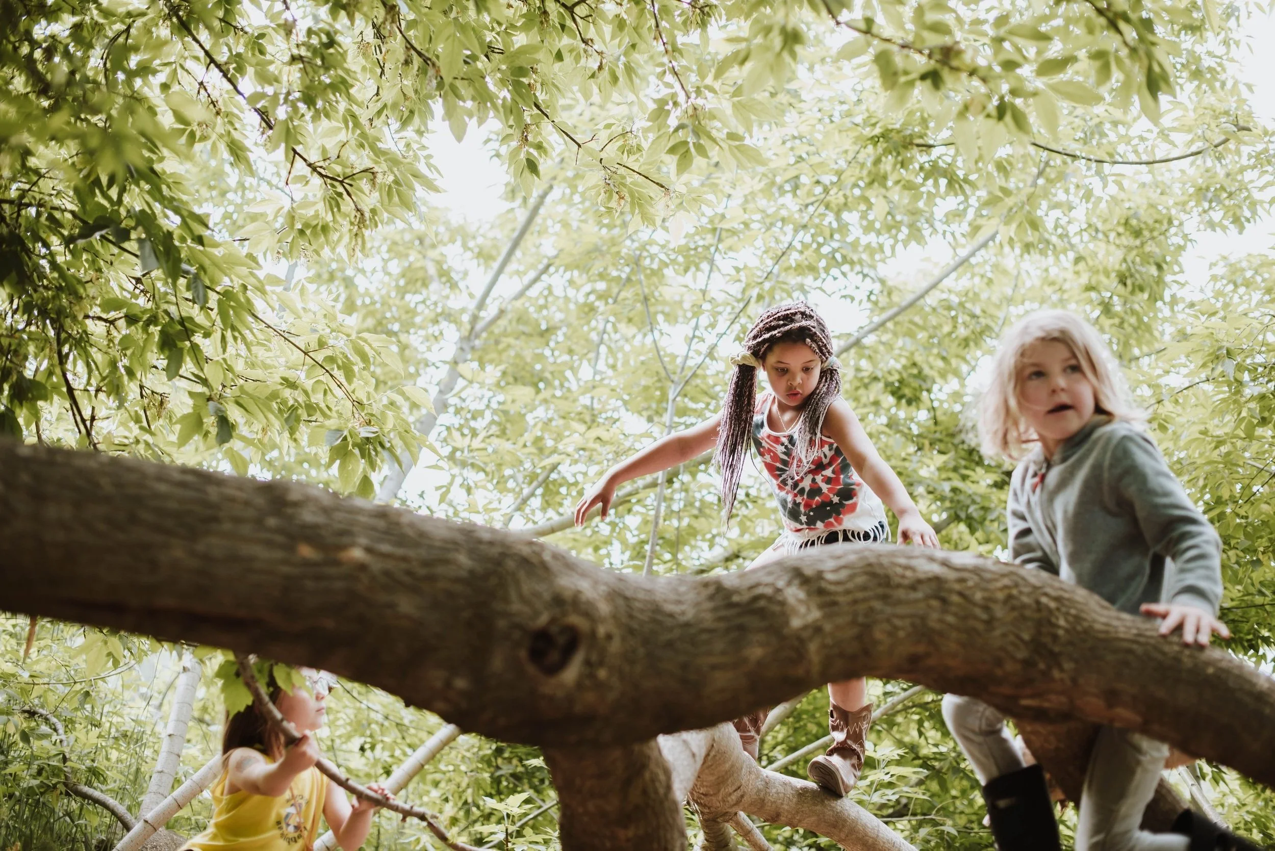 National Outdoor Learning Alliance