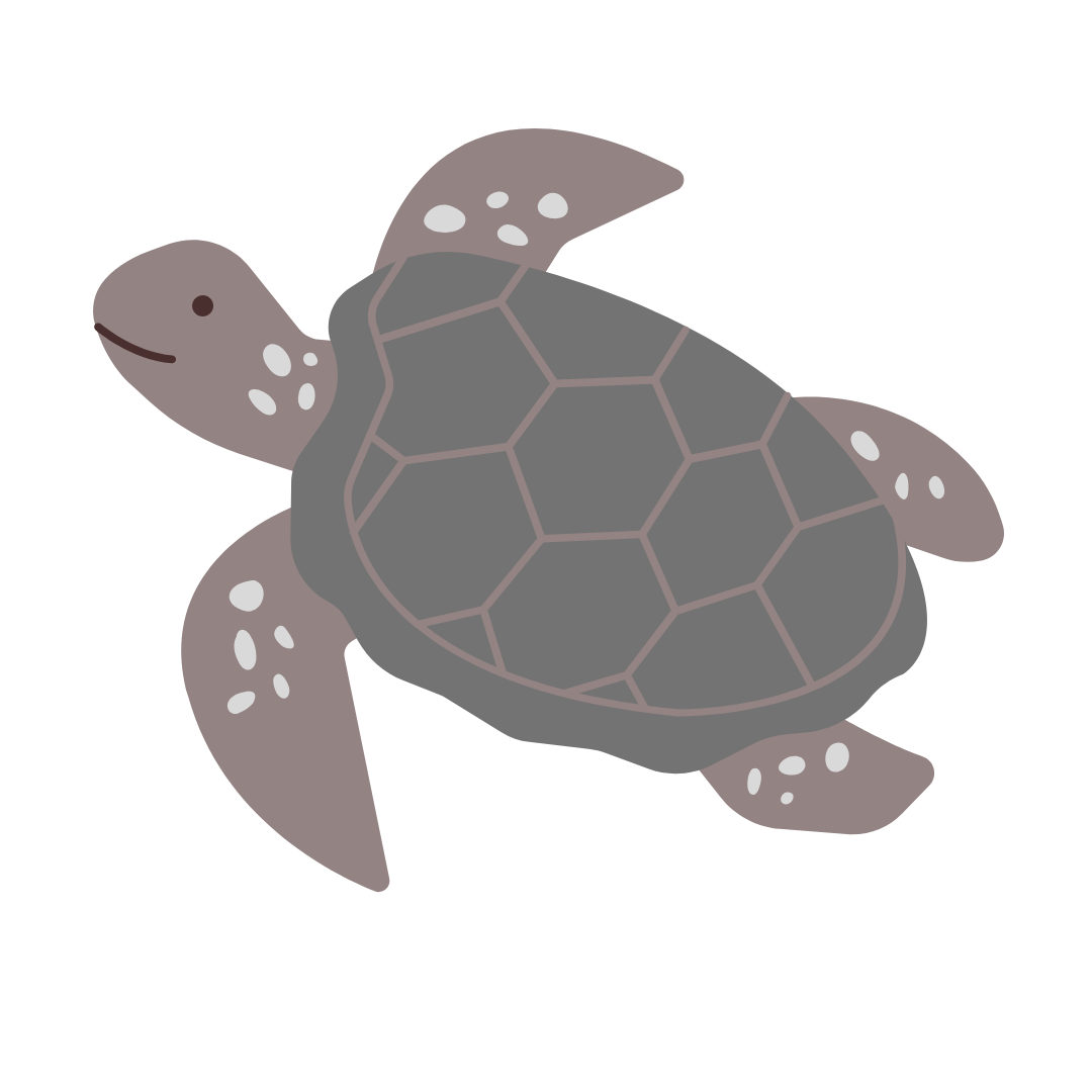 Mickler's Landing Turtle Patrol