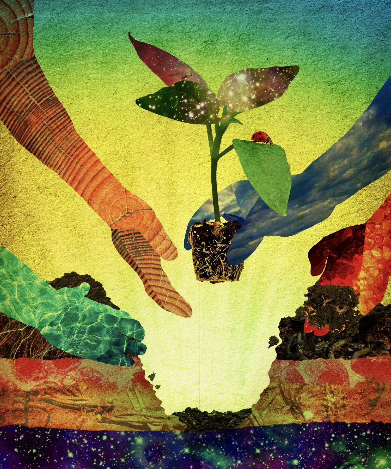About Us — Coaching for Healing, Justice and Liberation