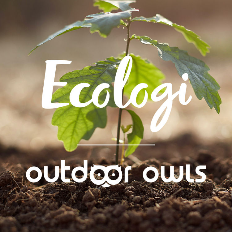 Tree Planting | Forest School Nursery & Holiday Camps | Outdoor Owls