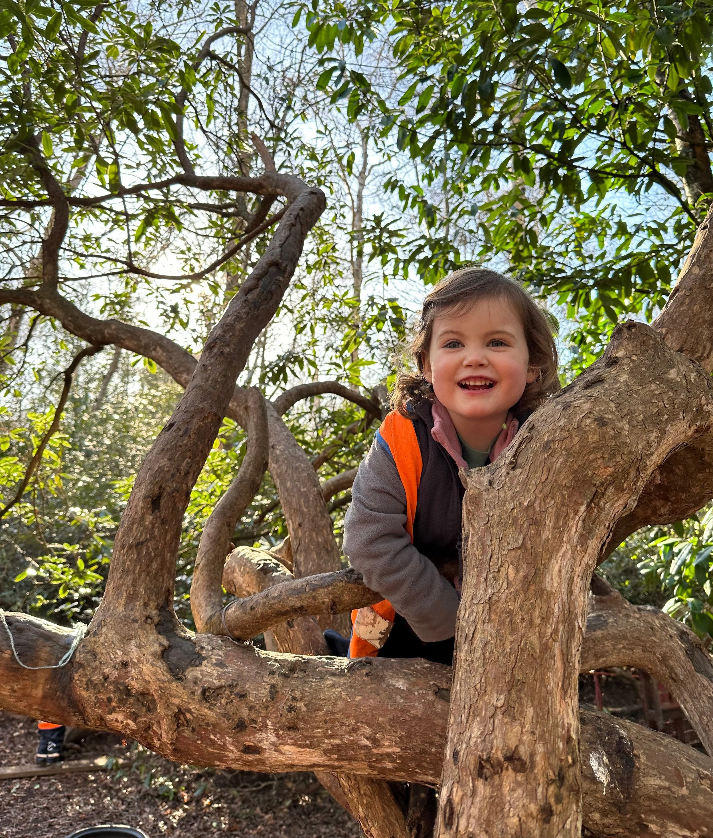 London and Surrey Forest School Nurseries & Holiday Camps | Outdoor Owls