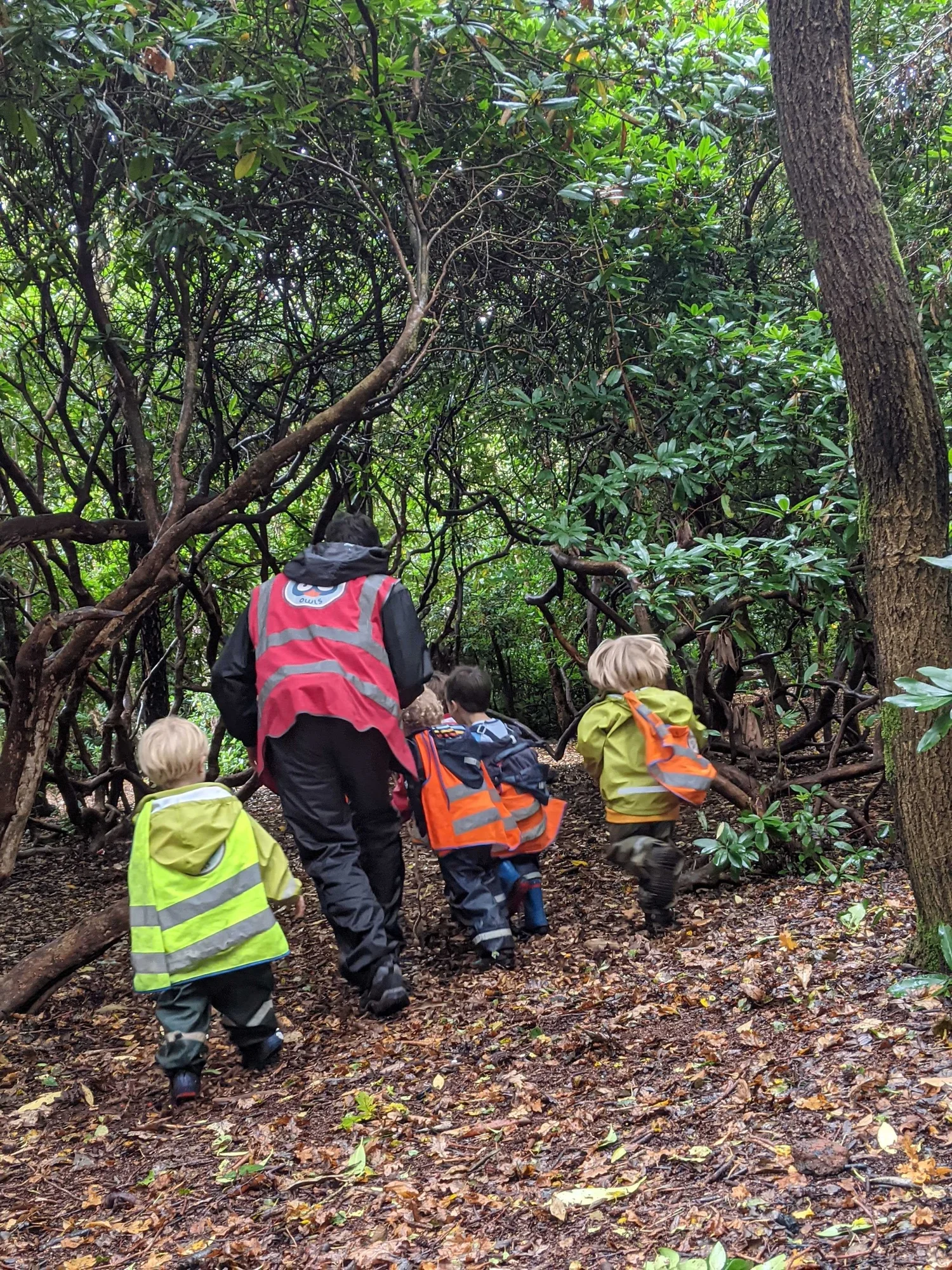 London and Surrey Forest School Nurseries & Holiday Camps | Outdoor Owls