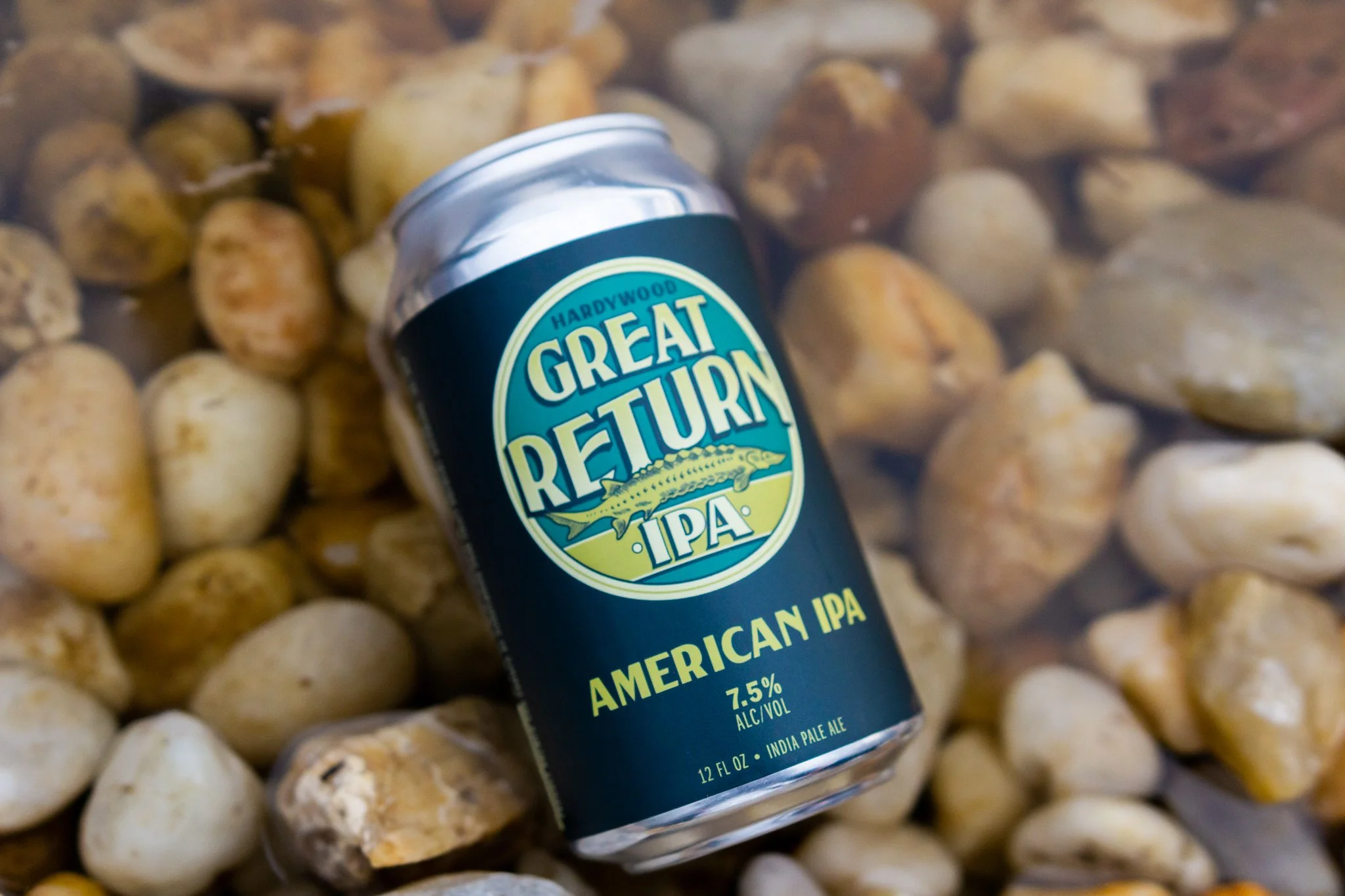 Great Return (American IPA - 7.5% ABV) — Hardywood Park Craft Brewery