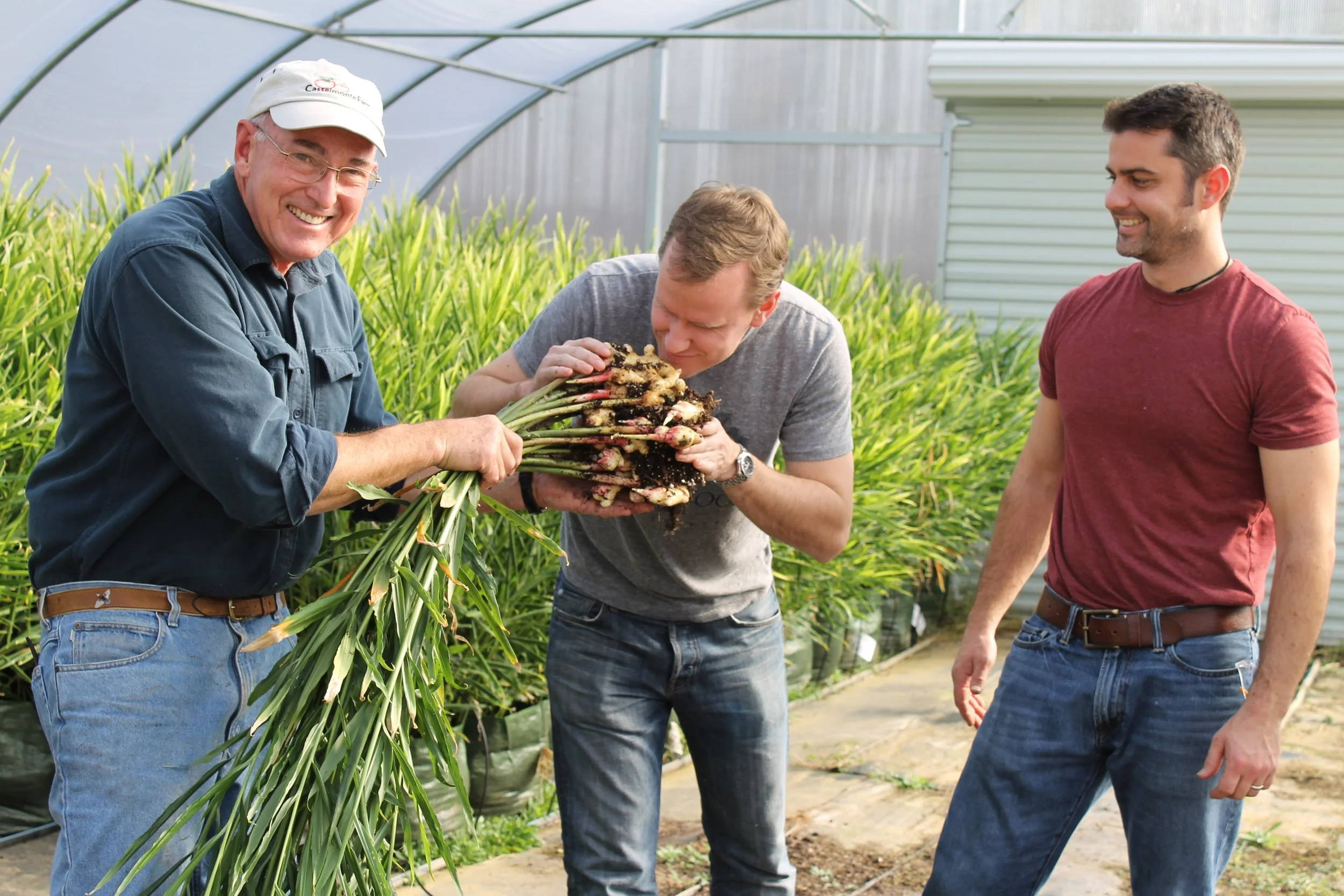 Our Story | The History of Hardywood Park Craft Brewery — Hardywood ...