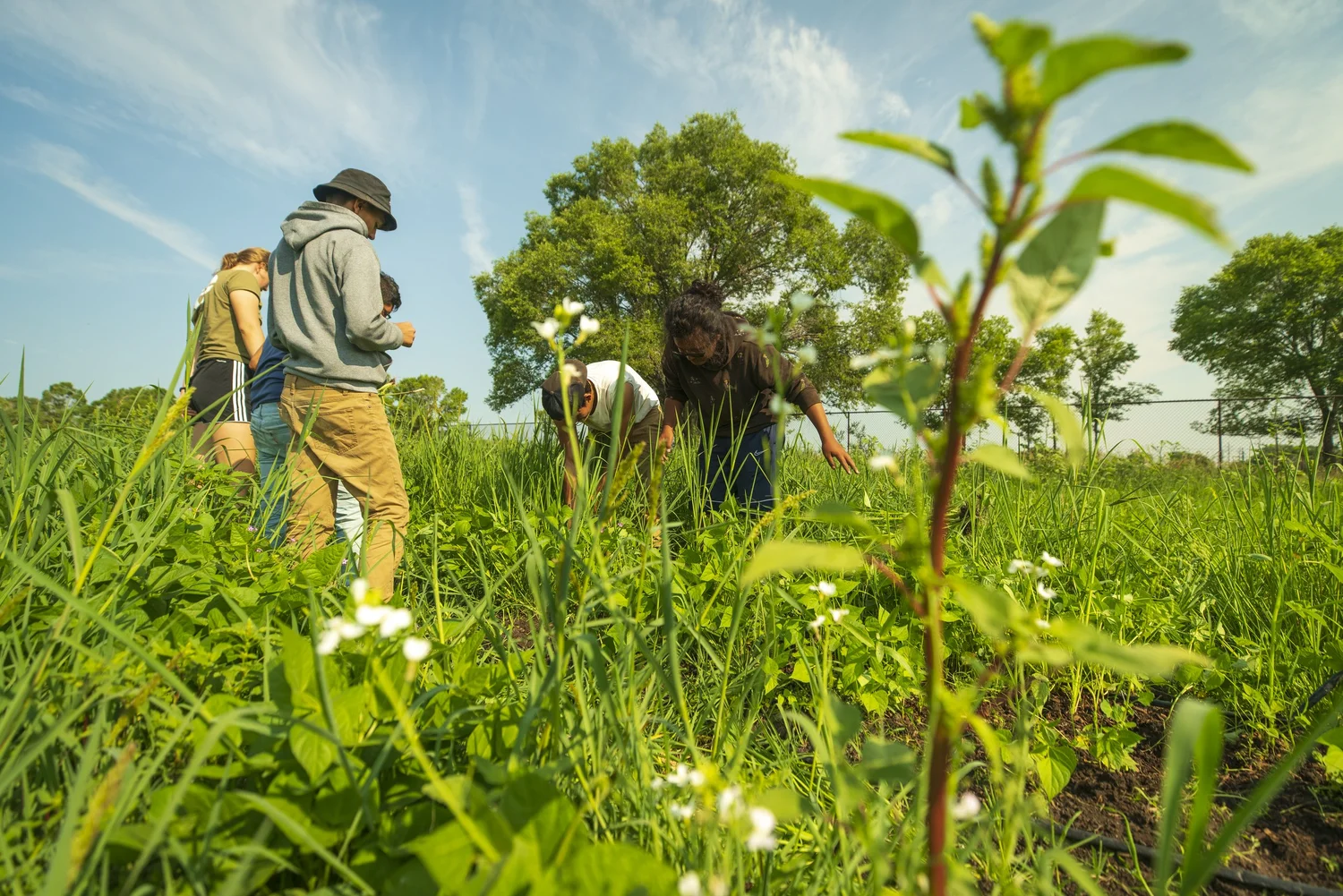 Our Story — Rio Grande Farm Park