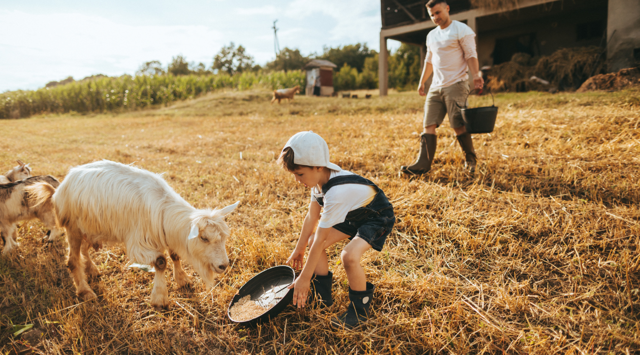 About — Josephine County Farm Collective