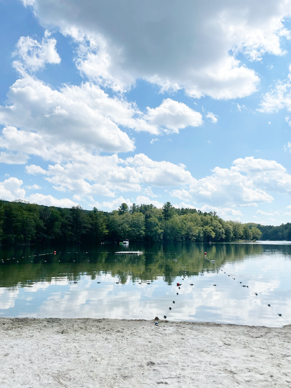 Adams Point Beach Association