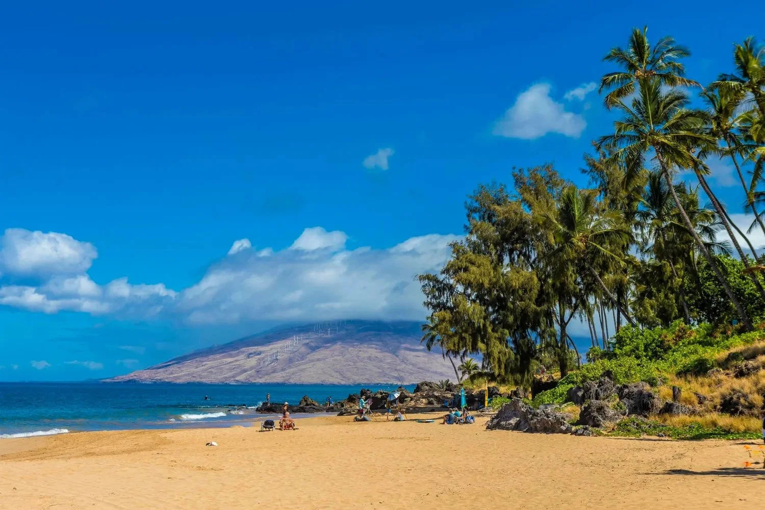 General 1 — Captain Morgan's Maui Vista Rental