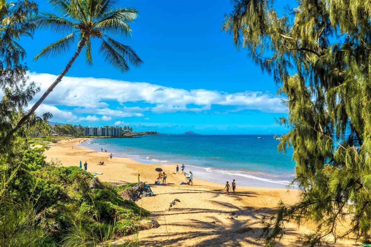 General 1 — Captain Morgan's Maui Vista Rental