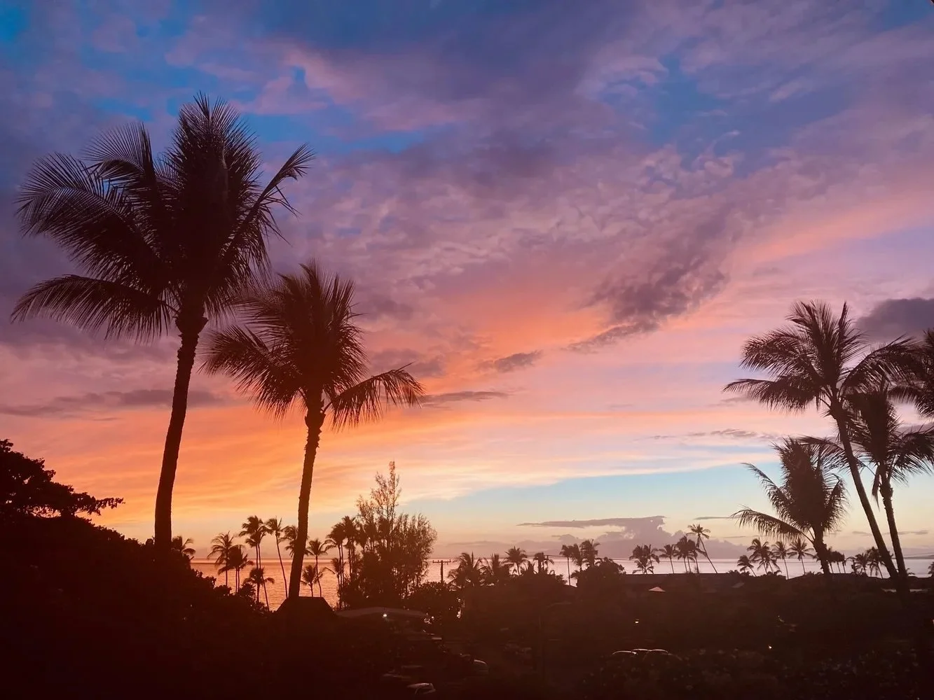 General 1 — Captain Morgan's Maui Vista Rental