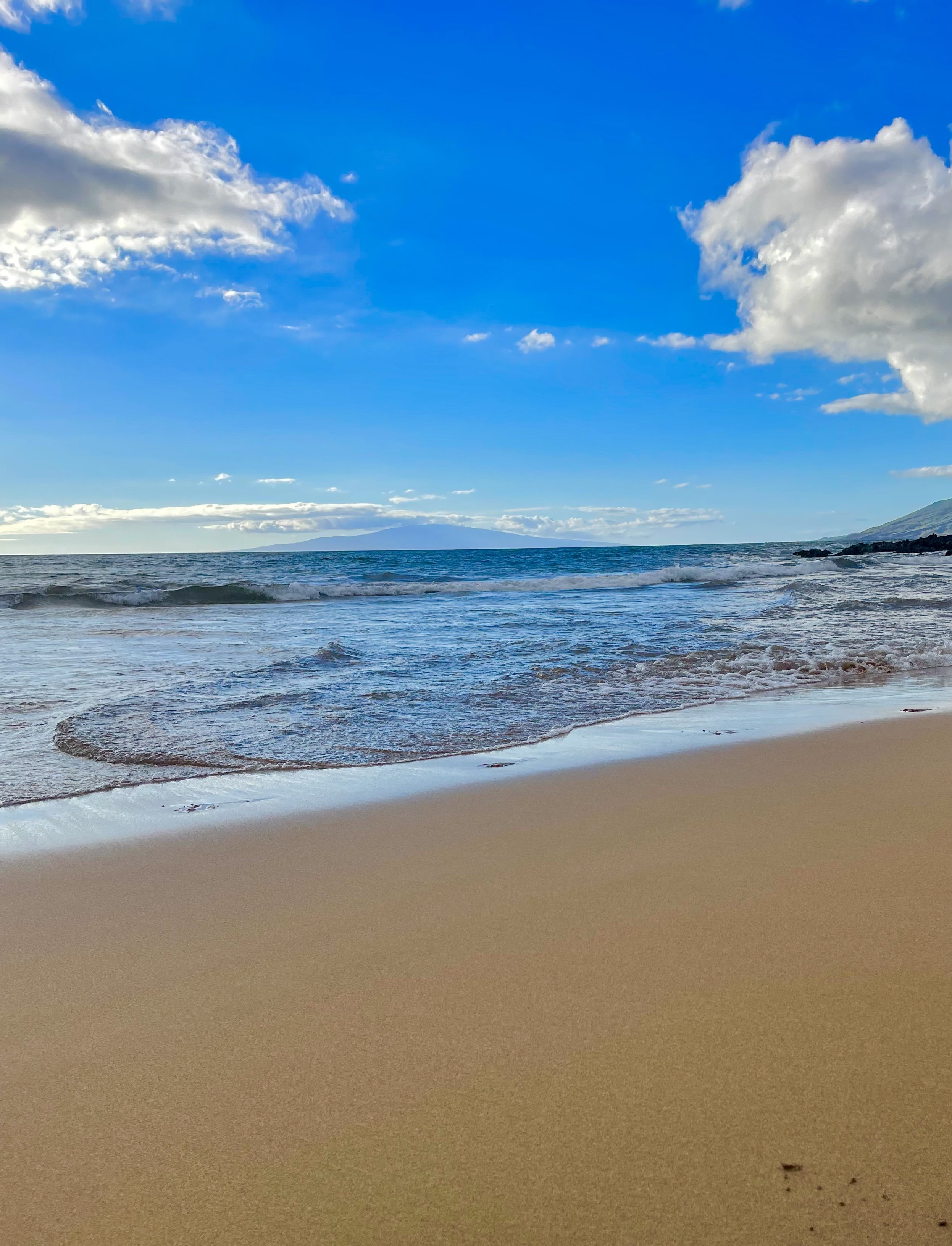 General 1 — Captain Morgan's Maui Vista Rental