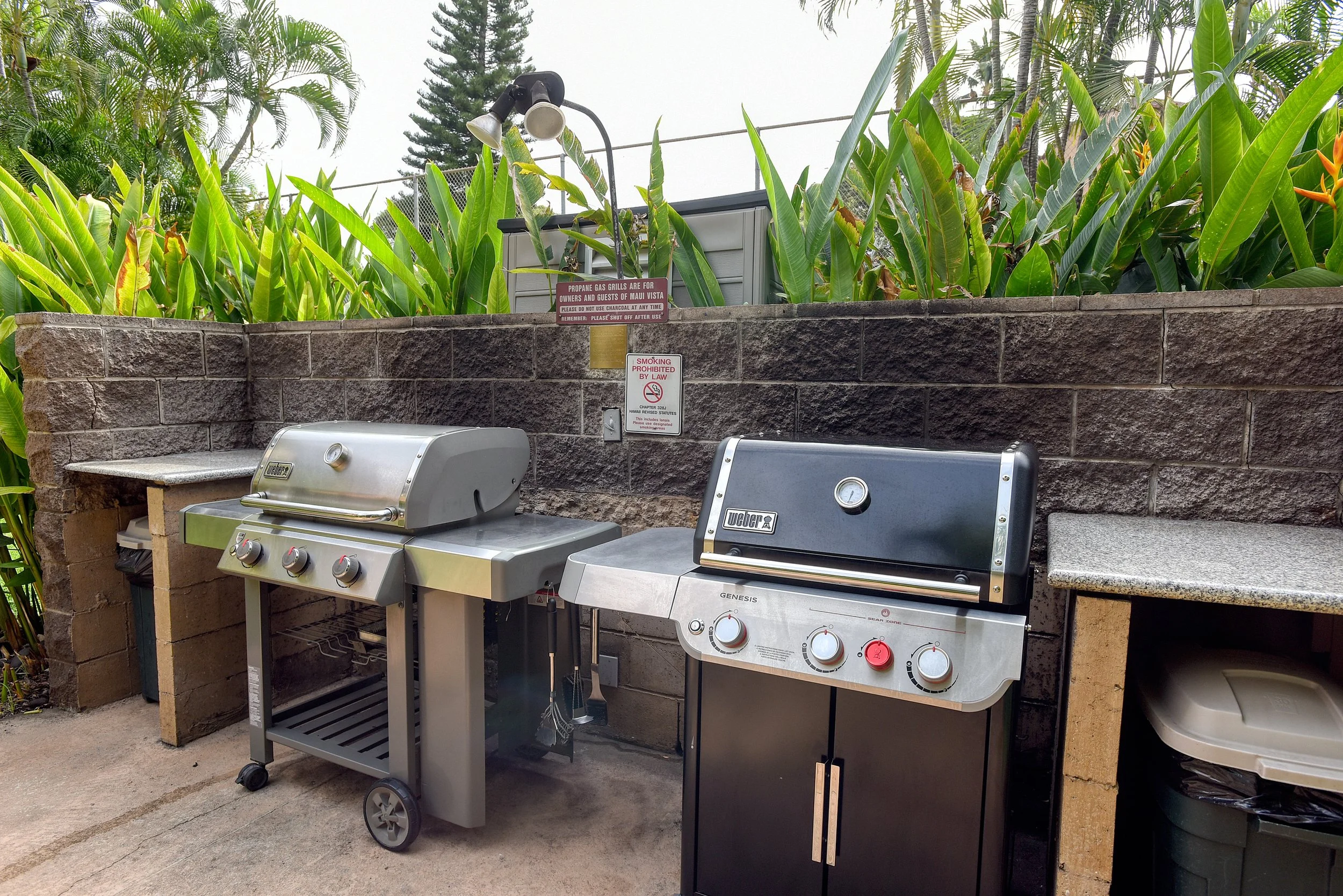 Photo Gallery — Captain Morgan's Maui Vista Rental