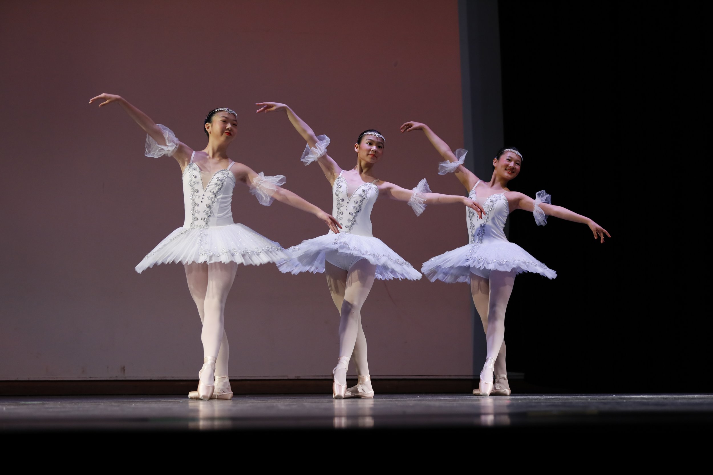 Edgewater Performing Arts | Ballet 4 Program for Advanced Dancers ...