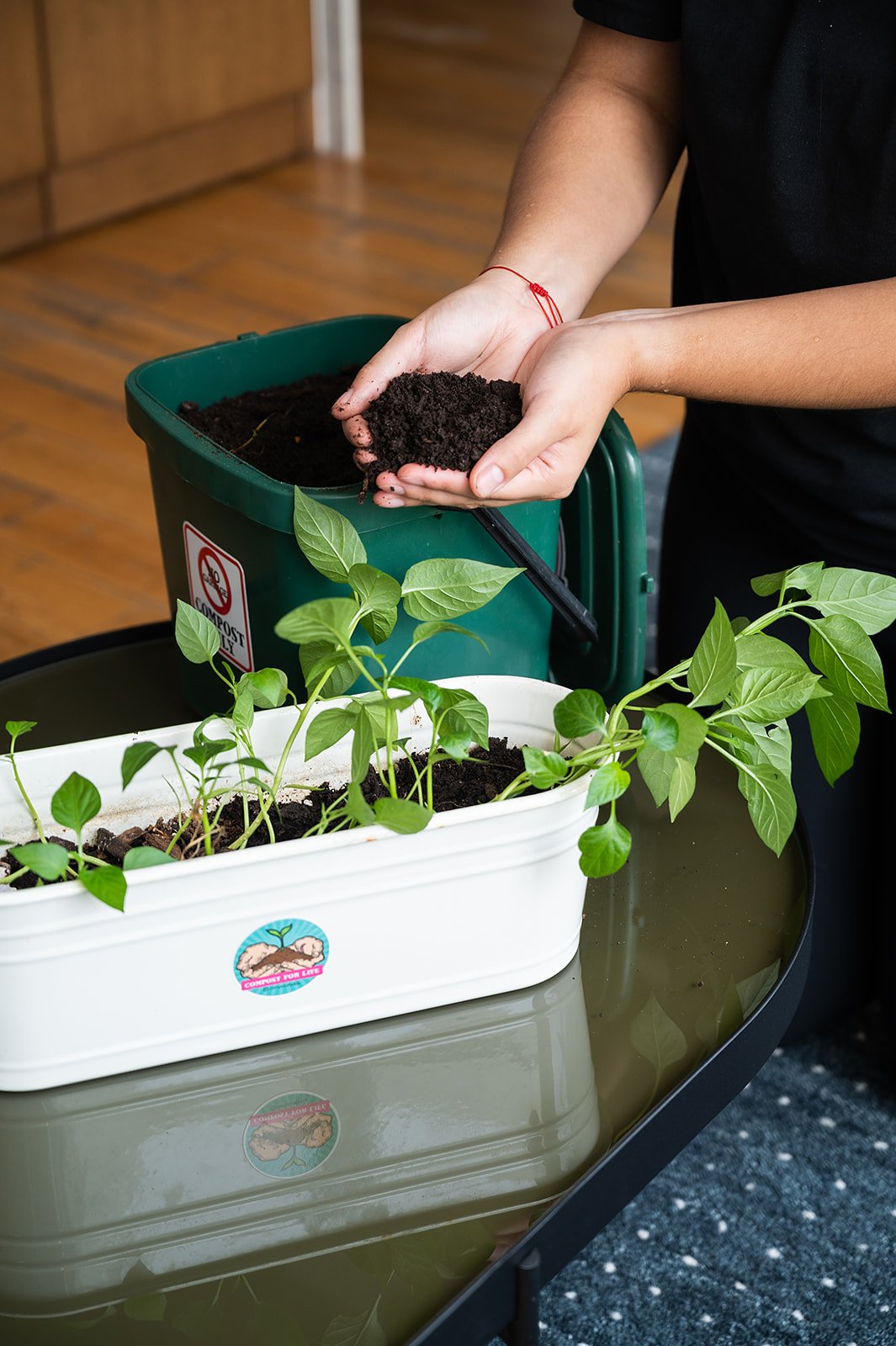 DONATE — Compost