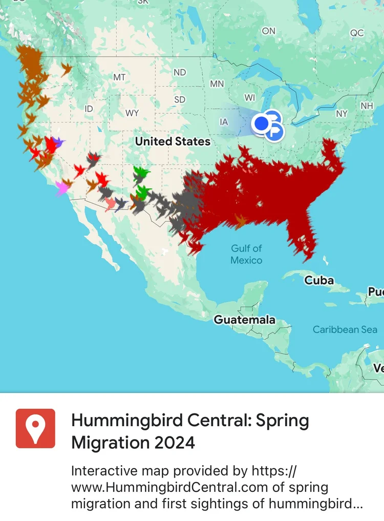 Writing — Joshua Longbrake