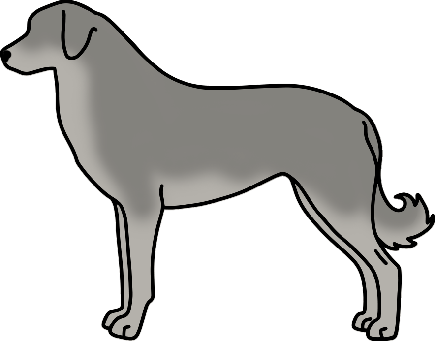 Anatolian Shepherd Colors — Mythos Anatolian Shepherds