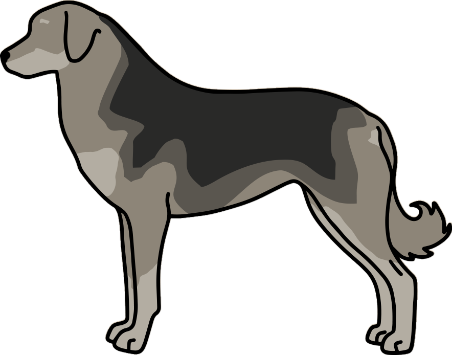 Anatolian Shepherd Colors — Mythos Anatolian Shepherds