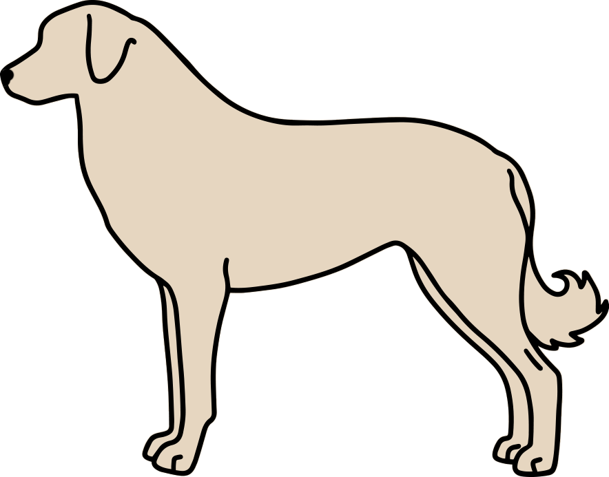 Anatolian Shepherd Colors — Mythos Anatolian Shepherds