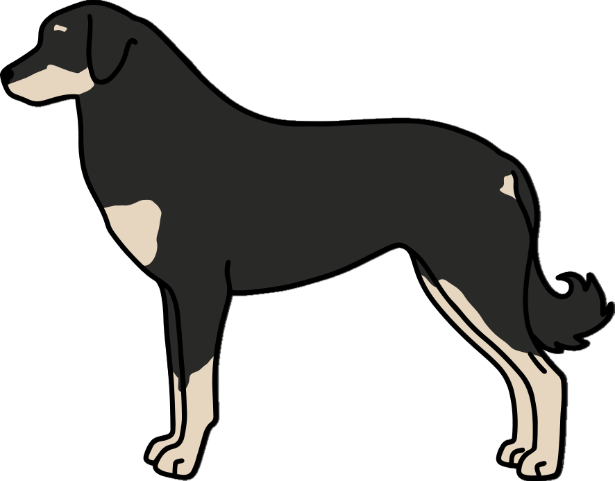 Anatolian Shepherd Colors — Mythos Anatolian Shepherds