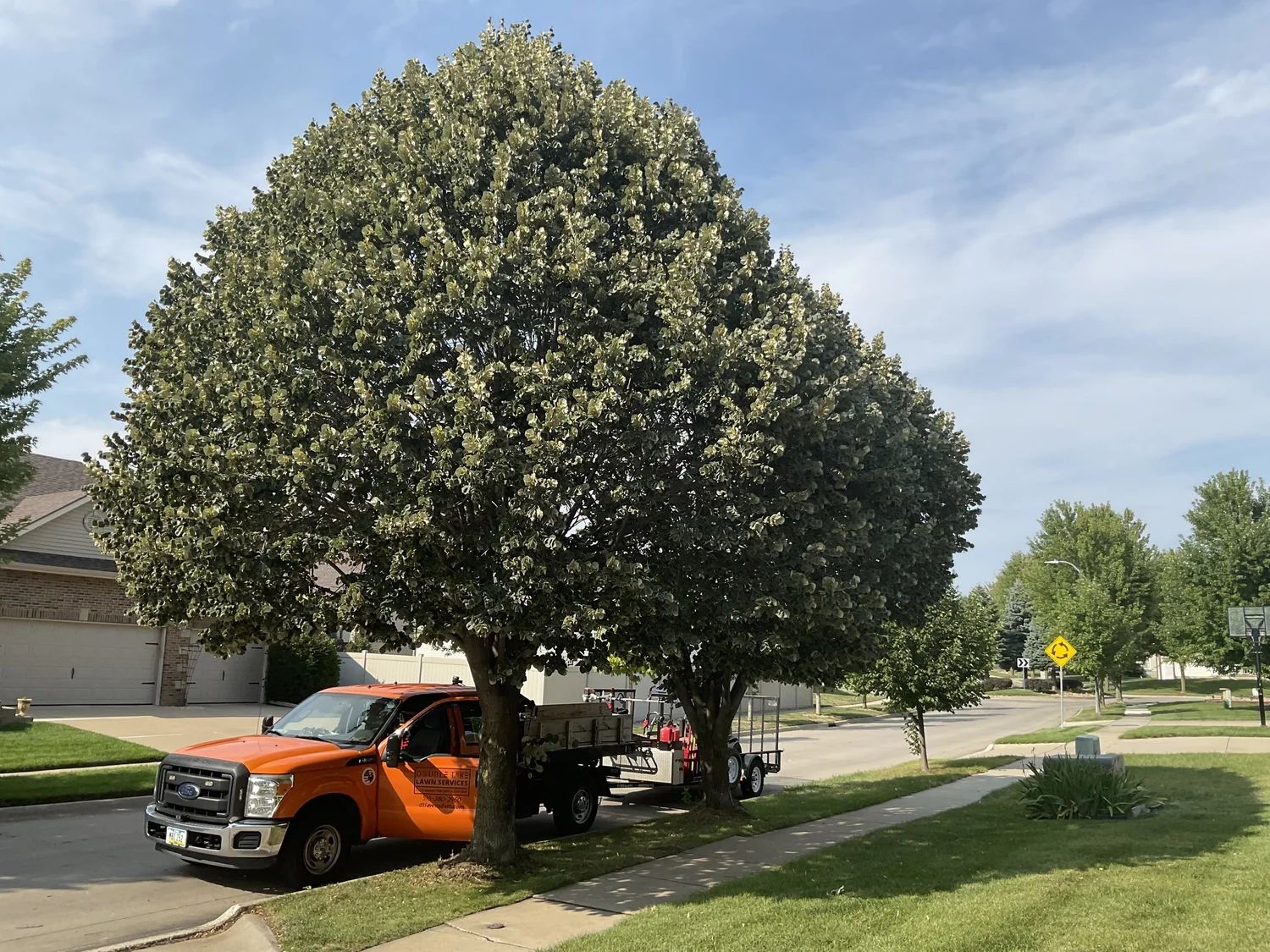 Double Take Lawn Services