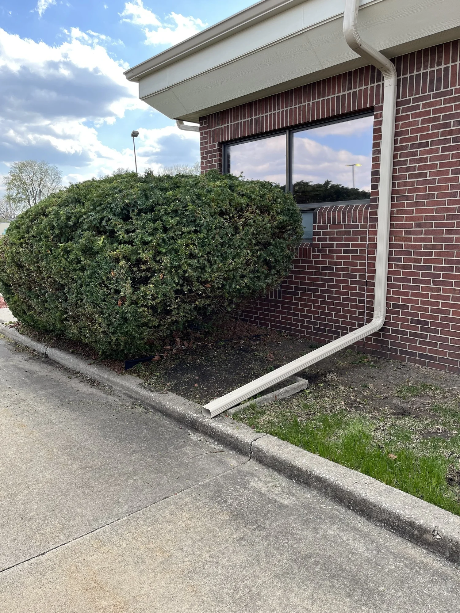 Double Take Lawn Services