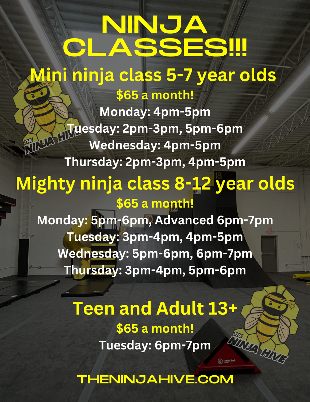 The Ninja Hive | Obstacle Training Gym