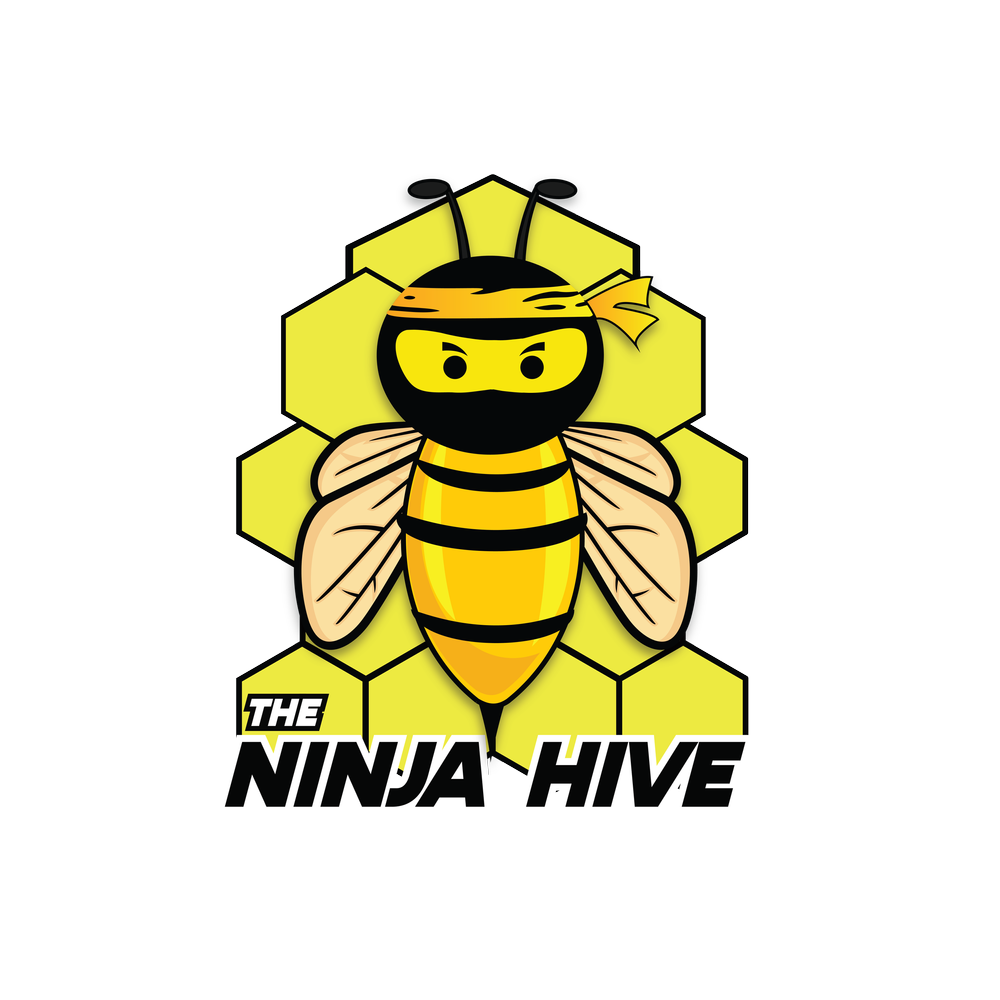 The Ninja Hive | Obstacle Training Gym