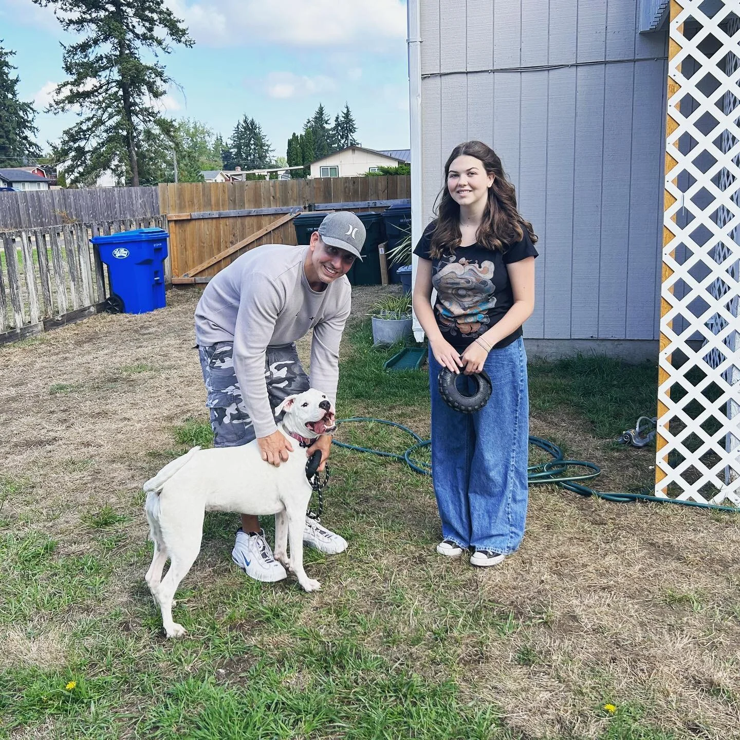 Doggedly Dog Rescue Society