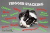 Trigger stacking 101 — Doggedly Dog Rescue Society