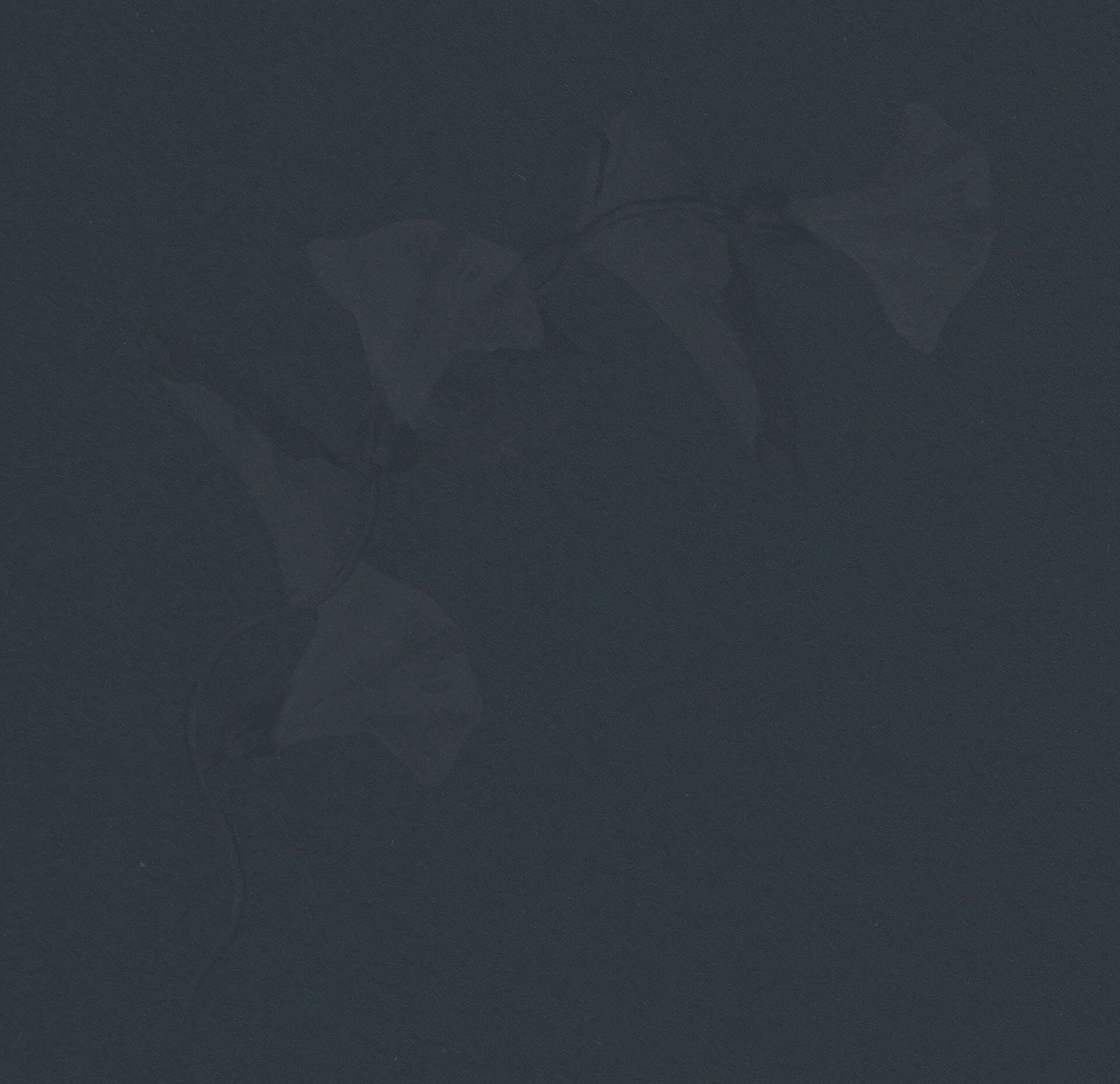 Luxe Wedding Floral Designs in Seattle - Moonflower Design Co.