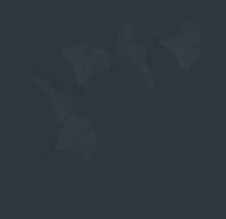 Luxe Wedding Floral Designs in Seattle - Moonflower Design Co.