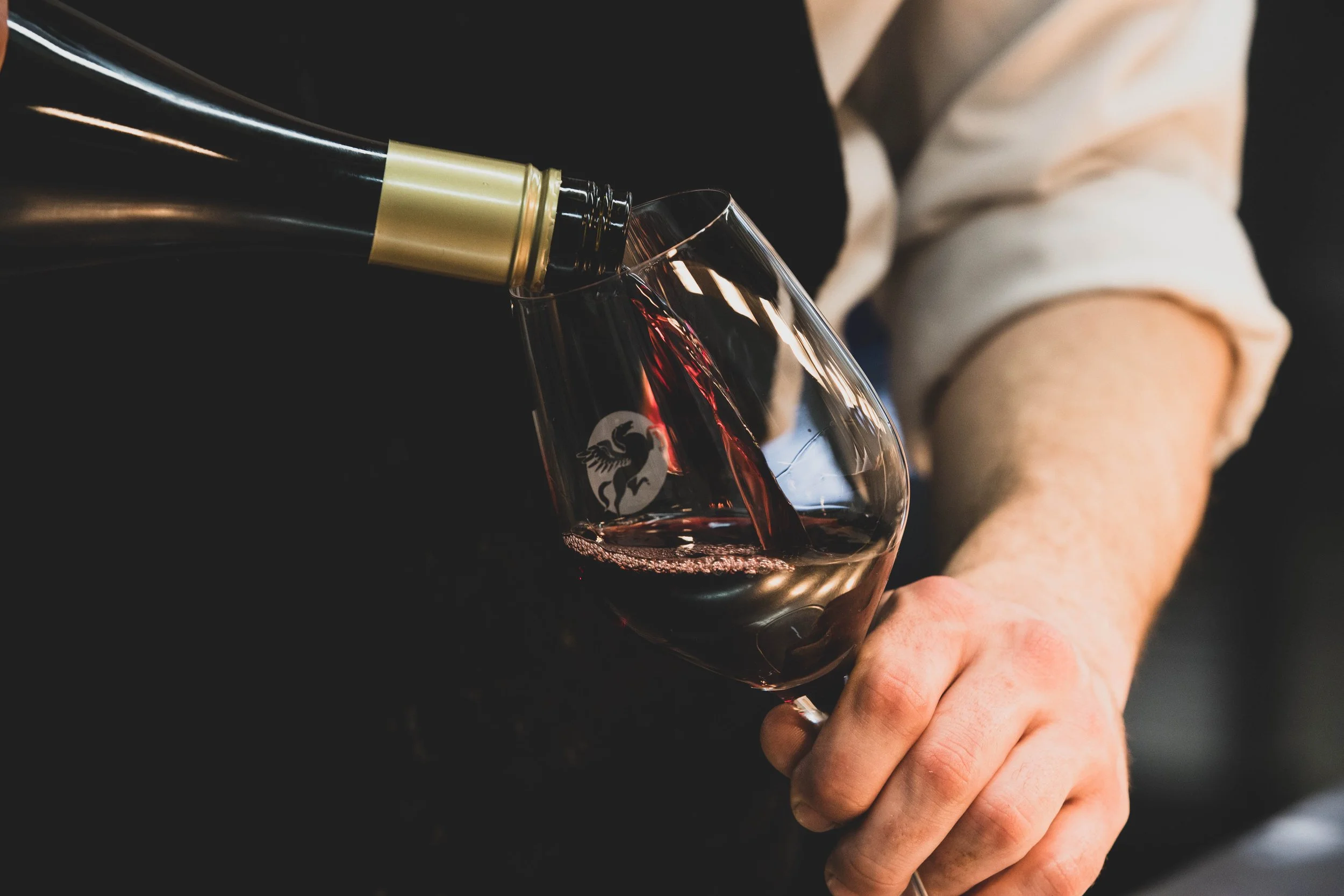 Portfolio — Lisa Sun Photography