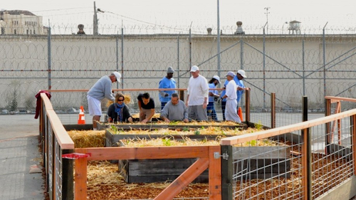 The Impact of Prison Gardens on the Rehabilitation of Prisoners — Emory ...