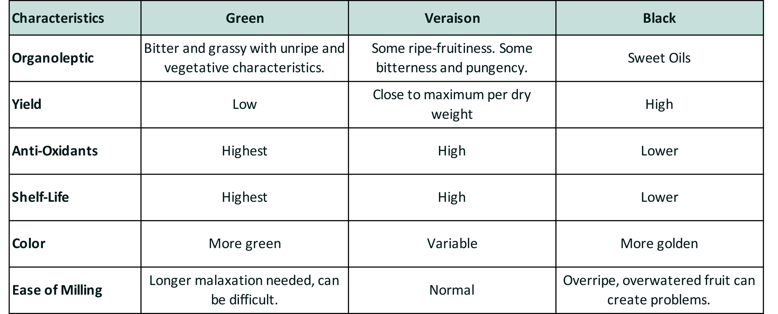 Olive Harvest Timing — The Olive Oil Source