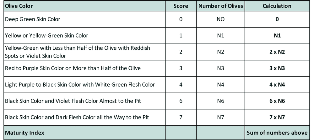 Olive Harvest Timing — The Olive Oil Source