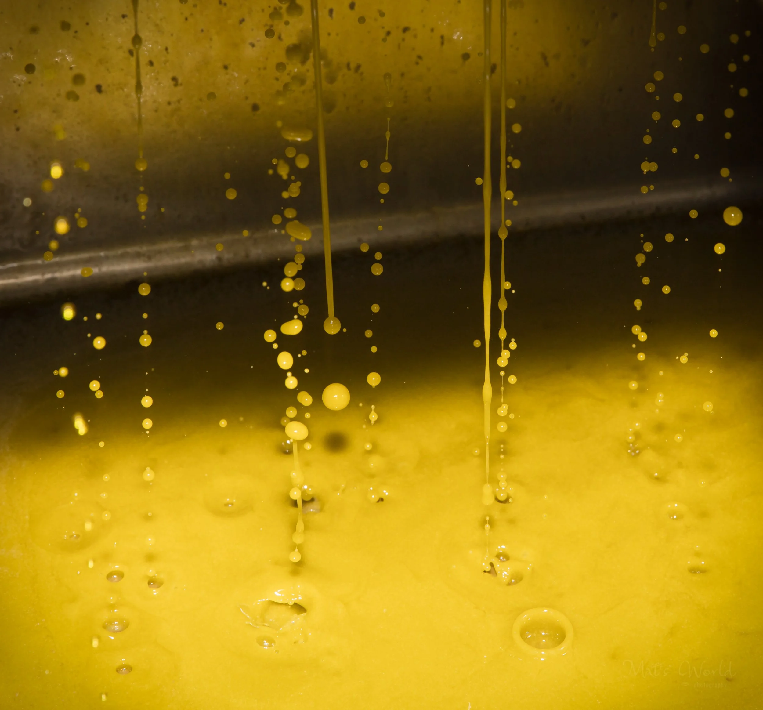 Olive Oil Extraction Process — The Olive Oil Source